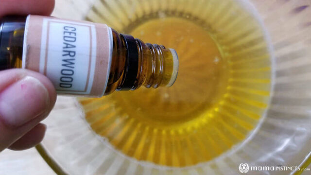 DIY Moisturizing Lotion Bars that You Can Make in Under 10 Minutes ...